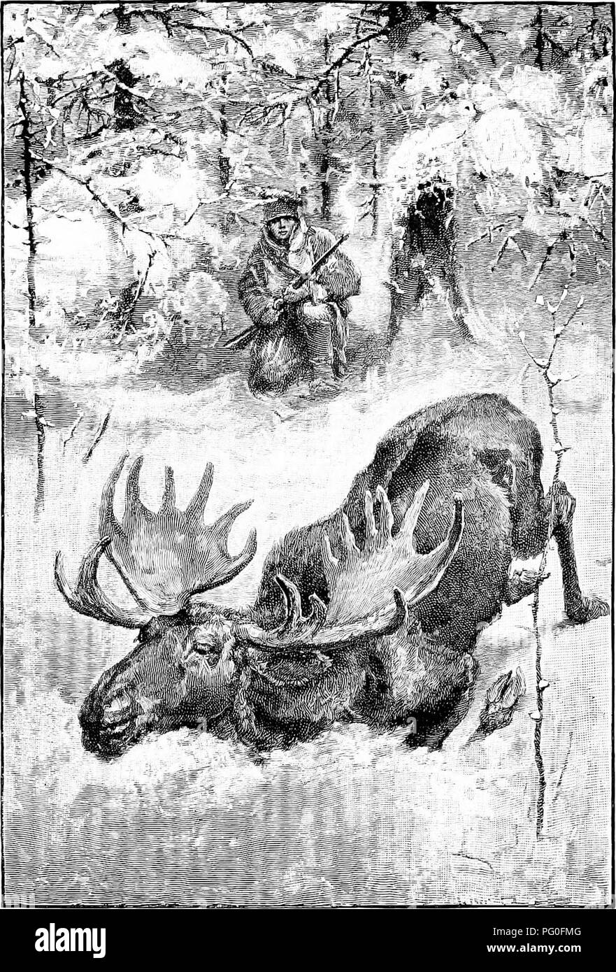 Chase shot Black and White Stock Photos & Images - Alamy