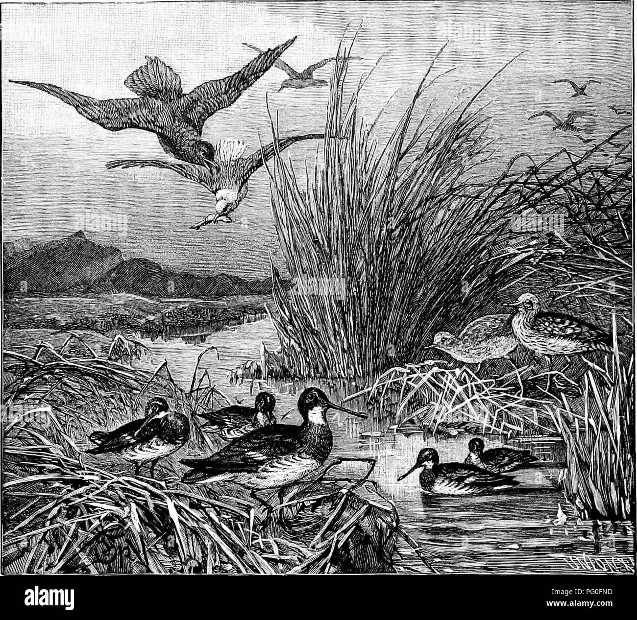 Living on the equator Black and White Stock Photos & Images - Alamy