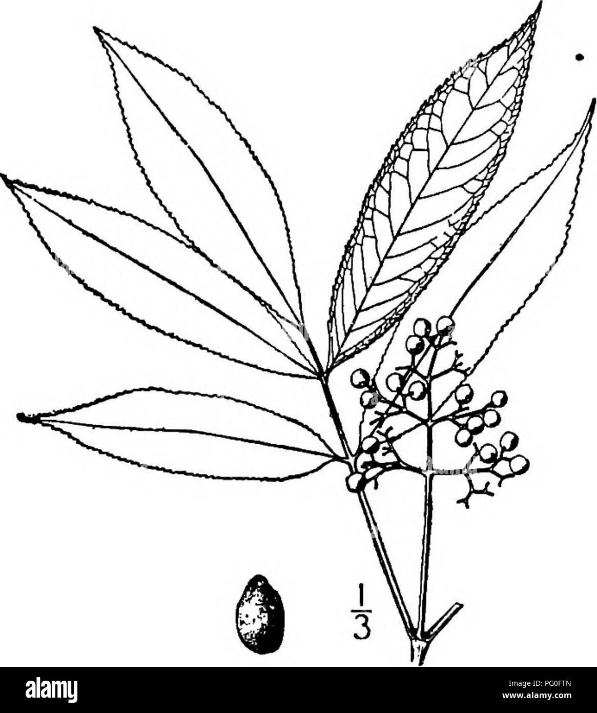 América mexicana Cut Out Stock Images & Pictures - Alamy