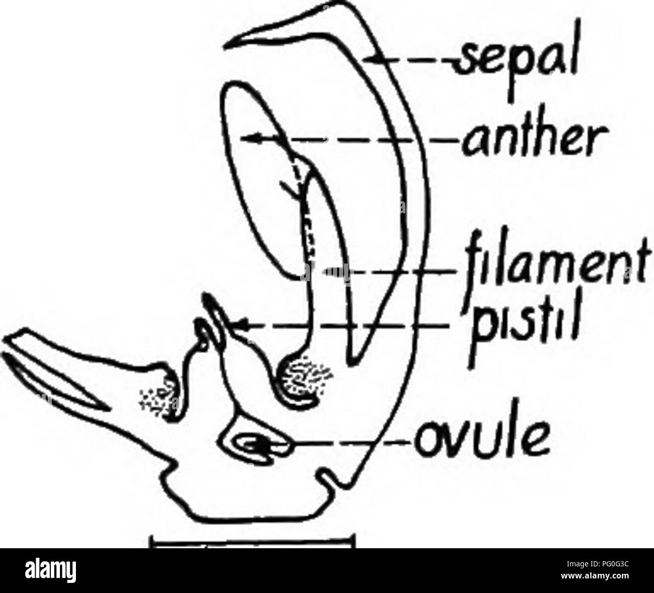 Self base Black and White Stock Photos & Images - Alamy