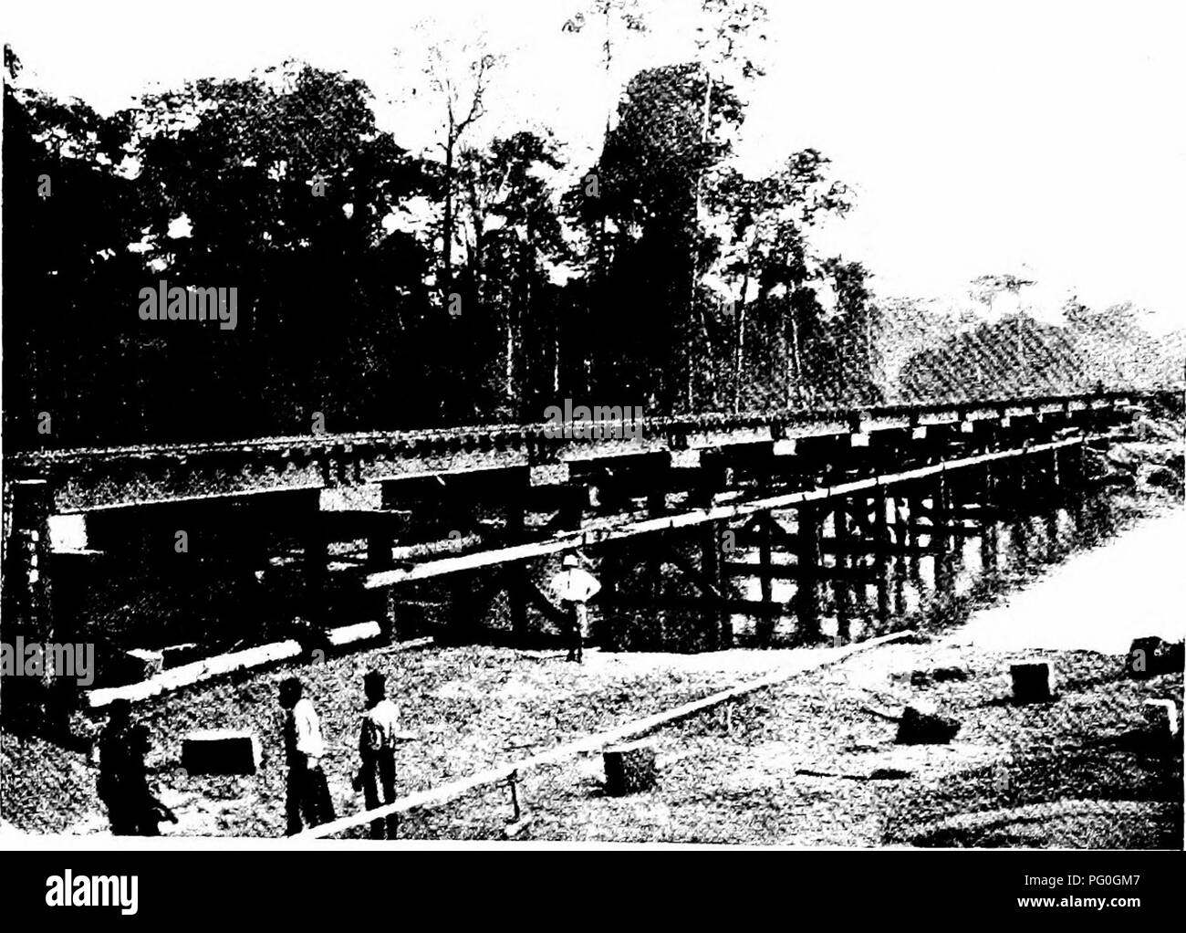 African wooden bridge Black and White Stock Photos & Images - Alamy
