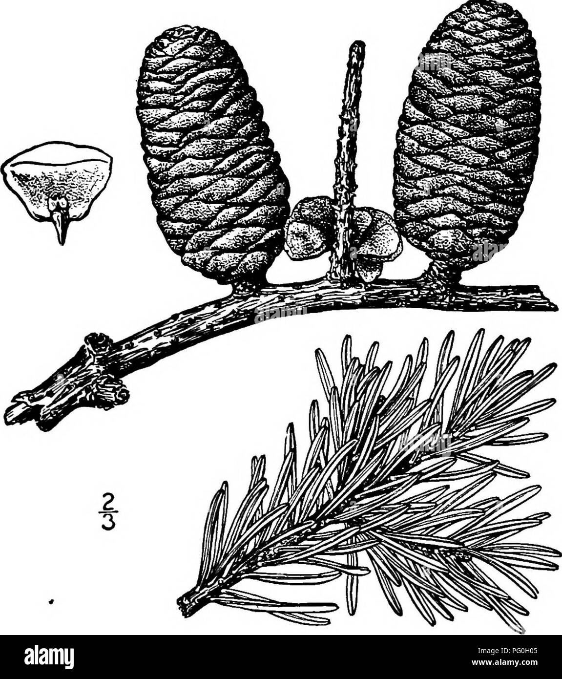 2100 Black and White Stock Photos & Images - Alamy