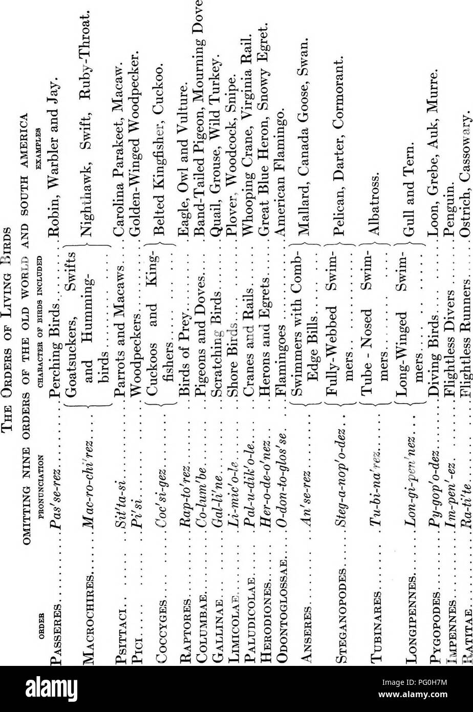 This work provides an in-depth overview of the higher animals of North ...