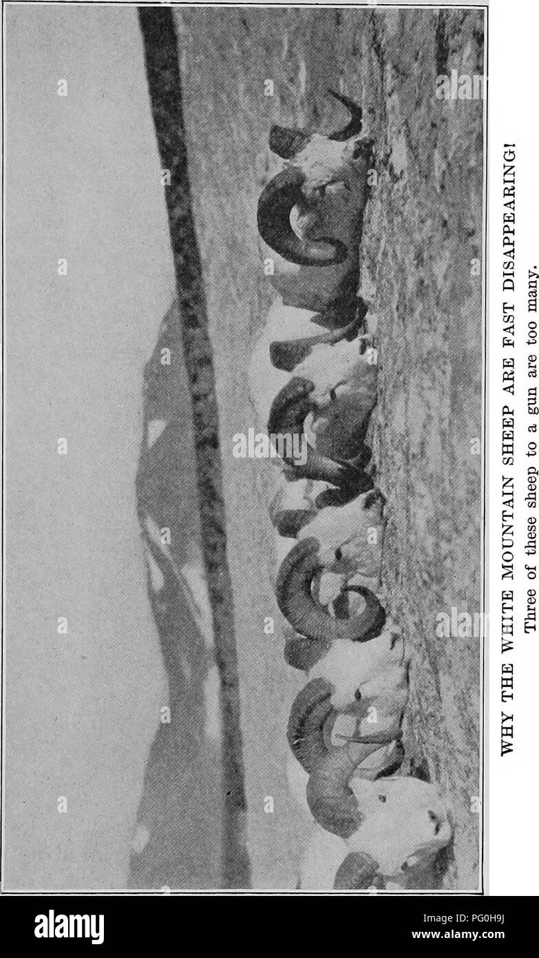 This foundational work provides essential knowledge on the higher ...