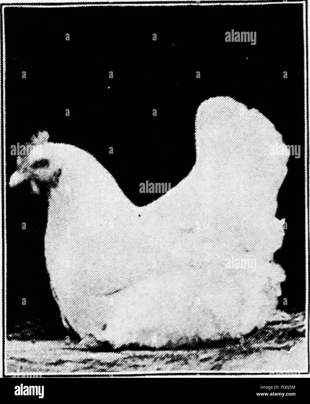 This work on poultry culture outlines the principles and practices ...