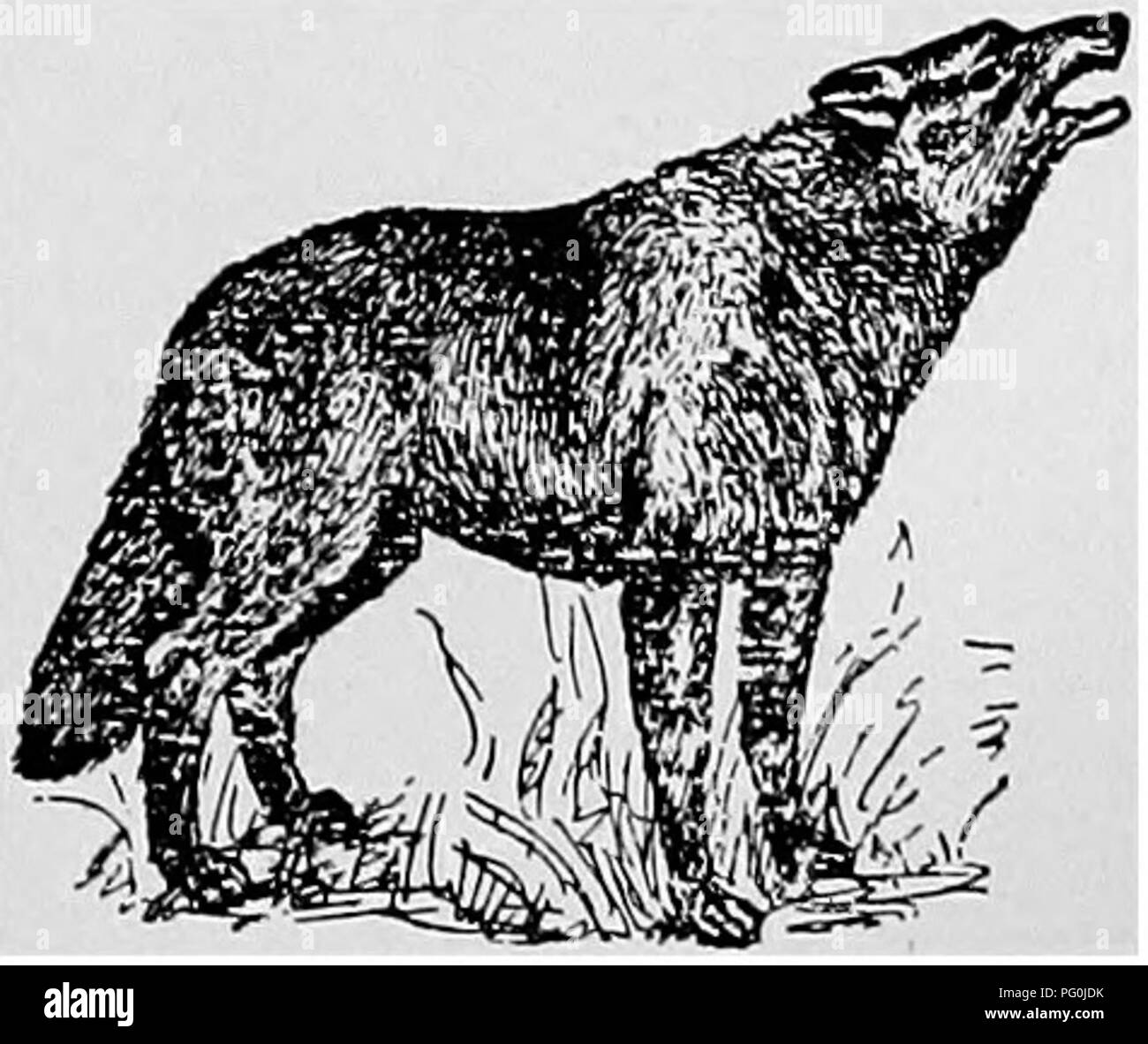 126 x 112 5 Black and White Stock Photos & Images - Alamy