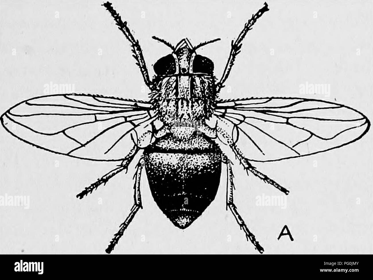 Blood borne infections hi-res stock photography and images - Alamy