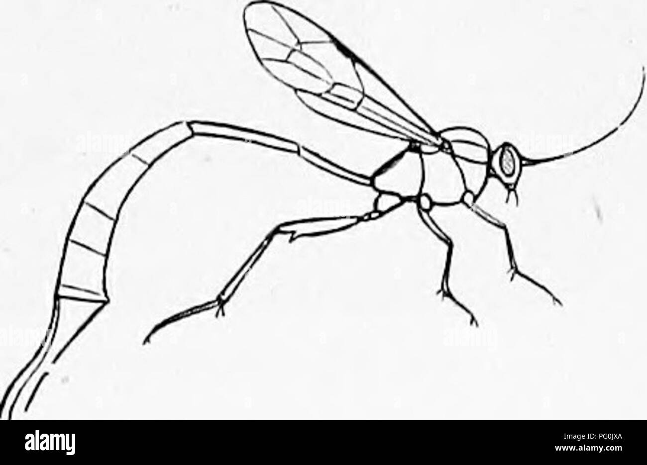 This text introduces students and general readers to the field of ...