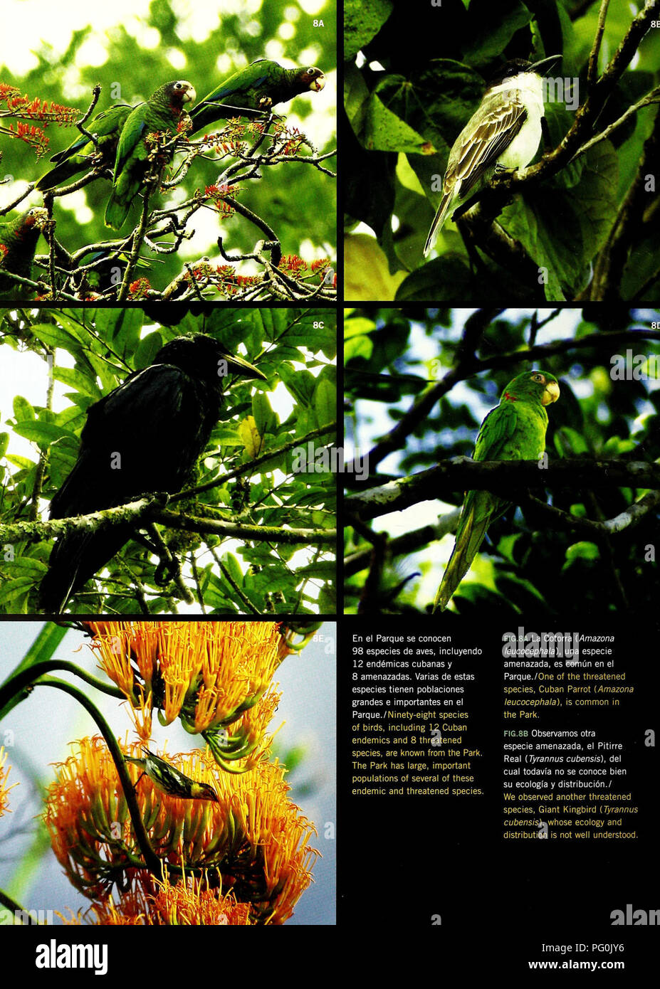 Parque Nacional Alejandro de Humboldt in Cuba is a UNESCO World ...