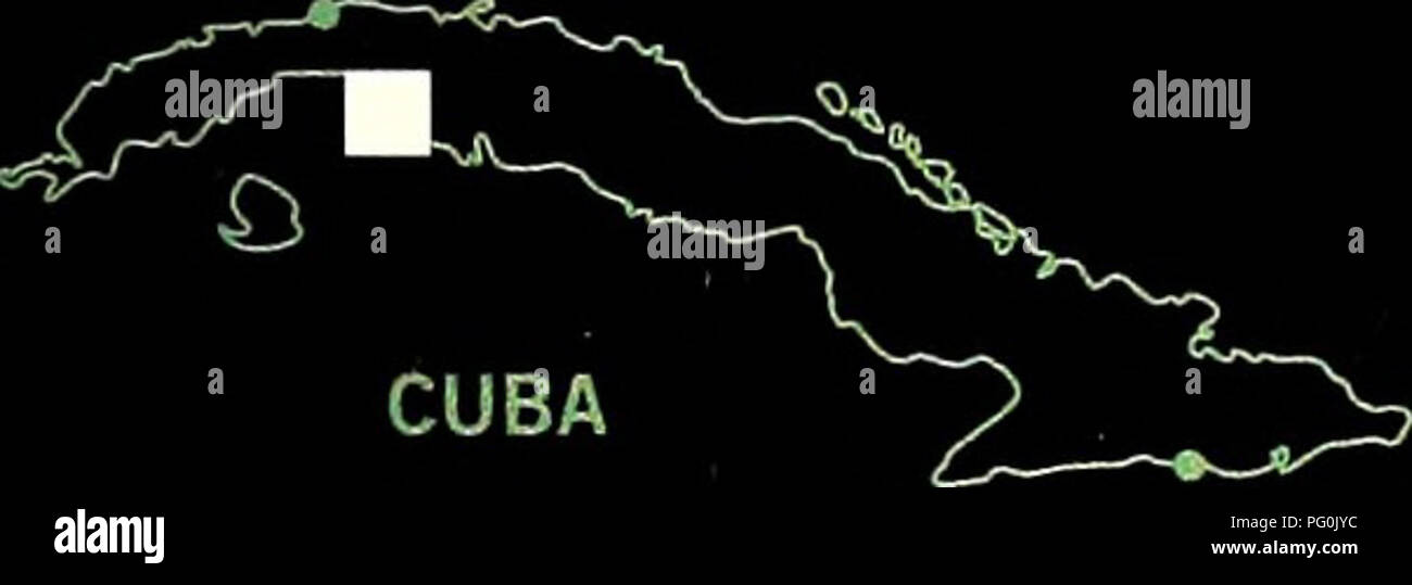 This satellite image of Cuba’s Zapata Peninsula shows the Zapata ...