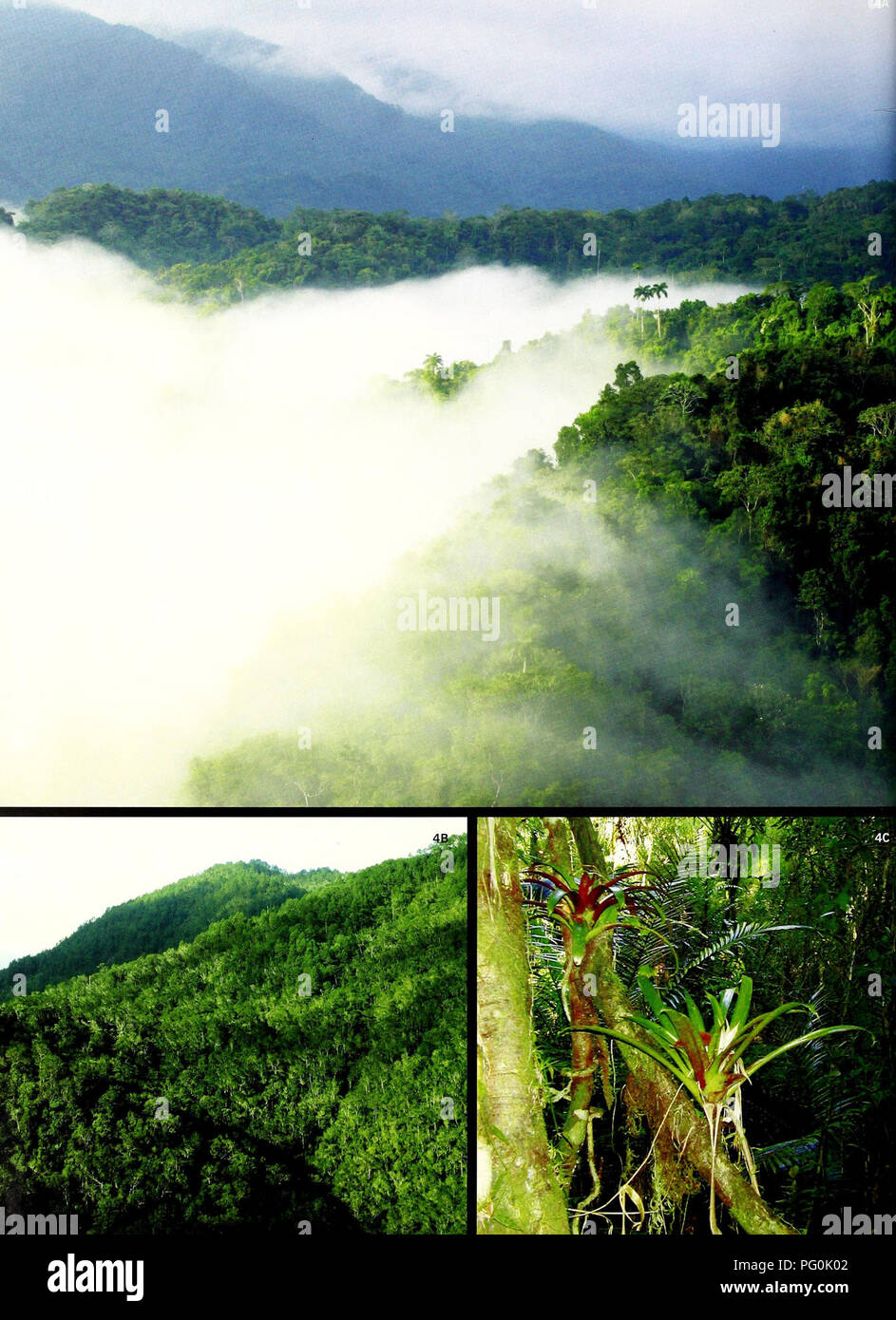 This ecological assessment of Cuba's Alejandro de Humboldt National ...