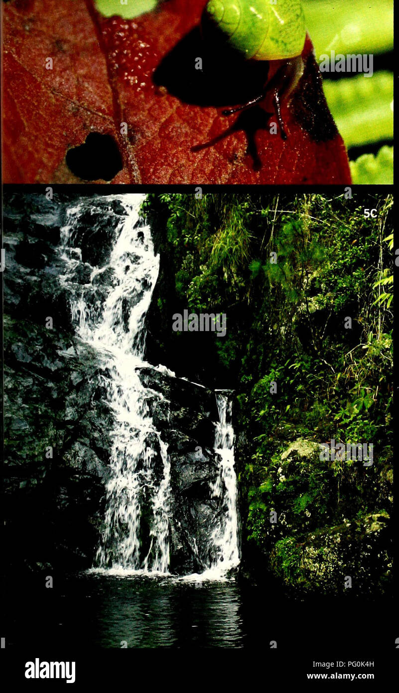 This image depicts the ecological assessment of Cuba’s Parque Nacional ...