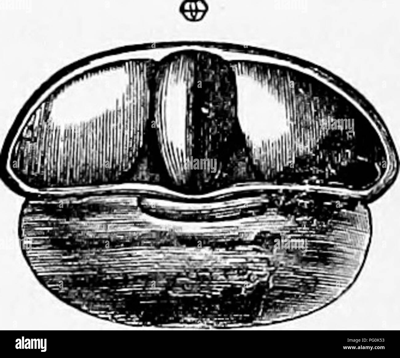 This zoology book provides an overview of various animal species ...