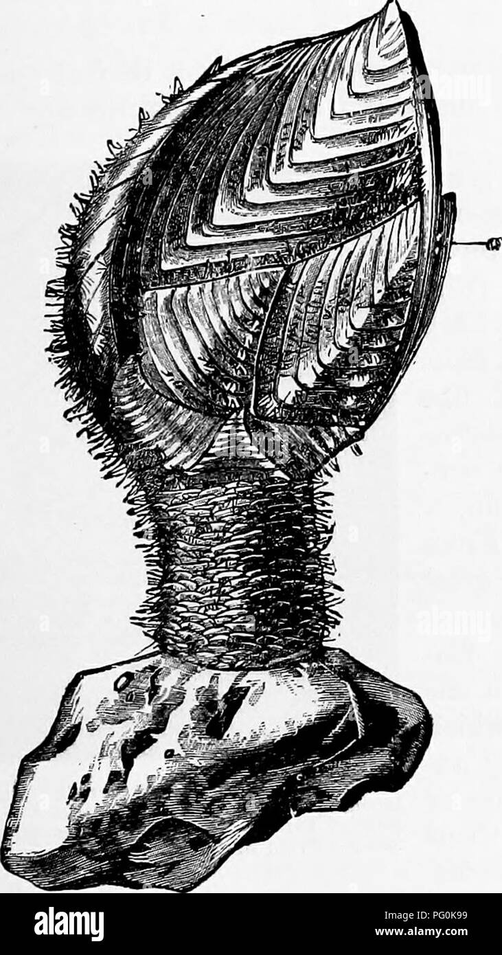 Object Transformation Drawing Pencil Transformation – Julia Sanderl