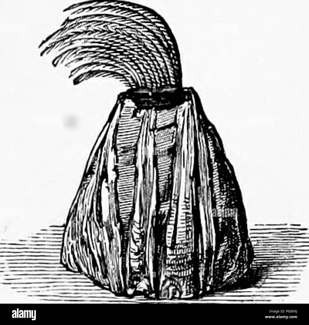 This anatomical diagram from a zoology textbook illustrates the ...