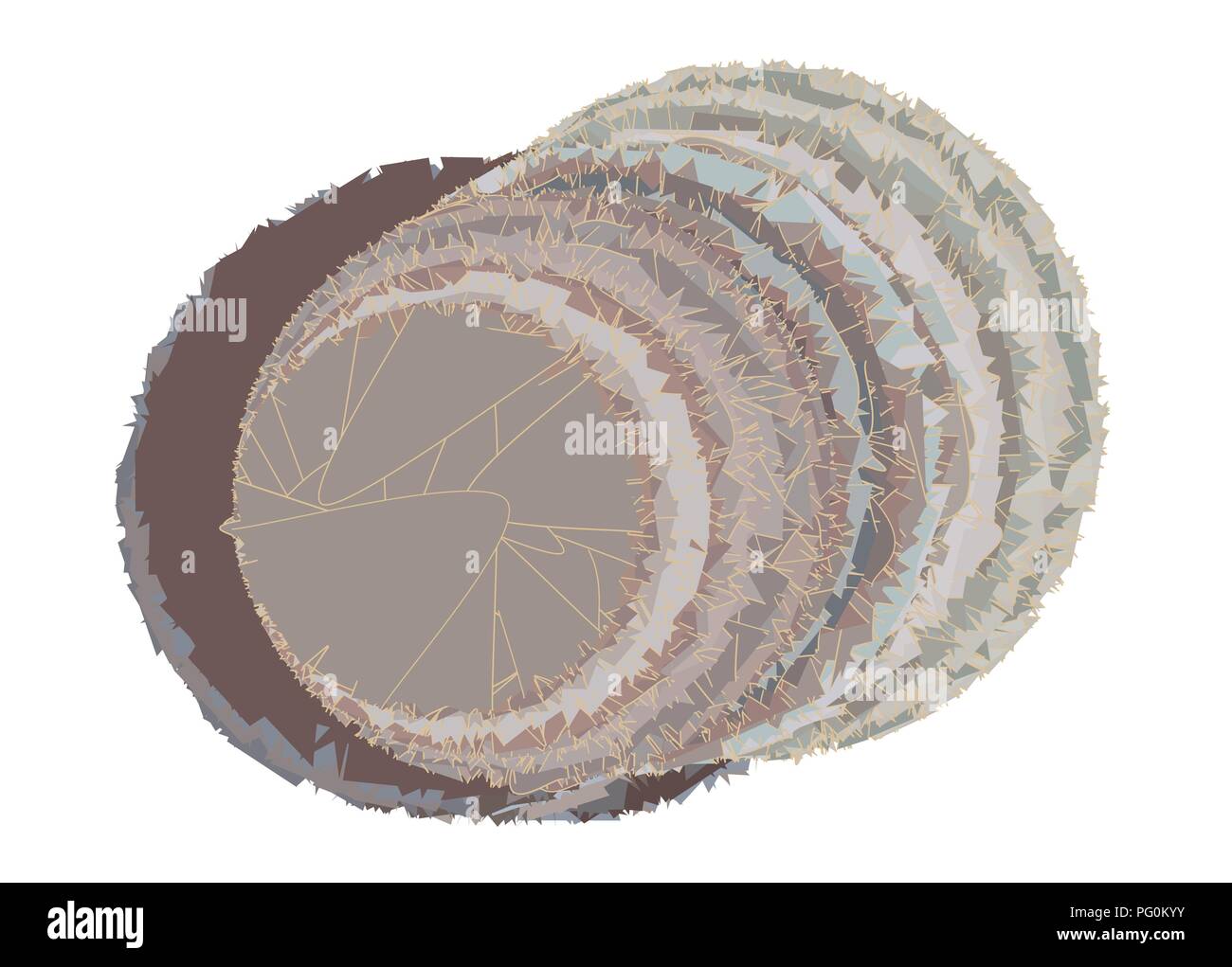 Abstract Conceptual Geometric Messy Random Line Circles Pattern Good For Web Page Graphic