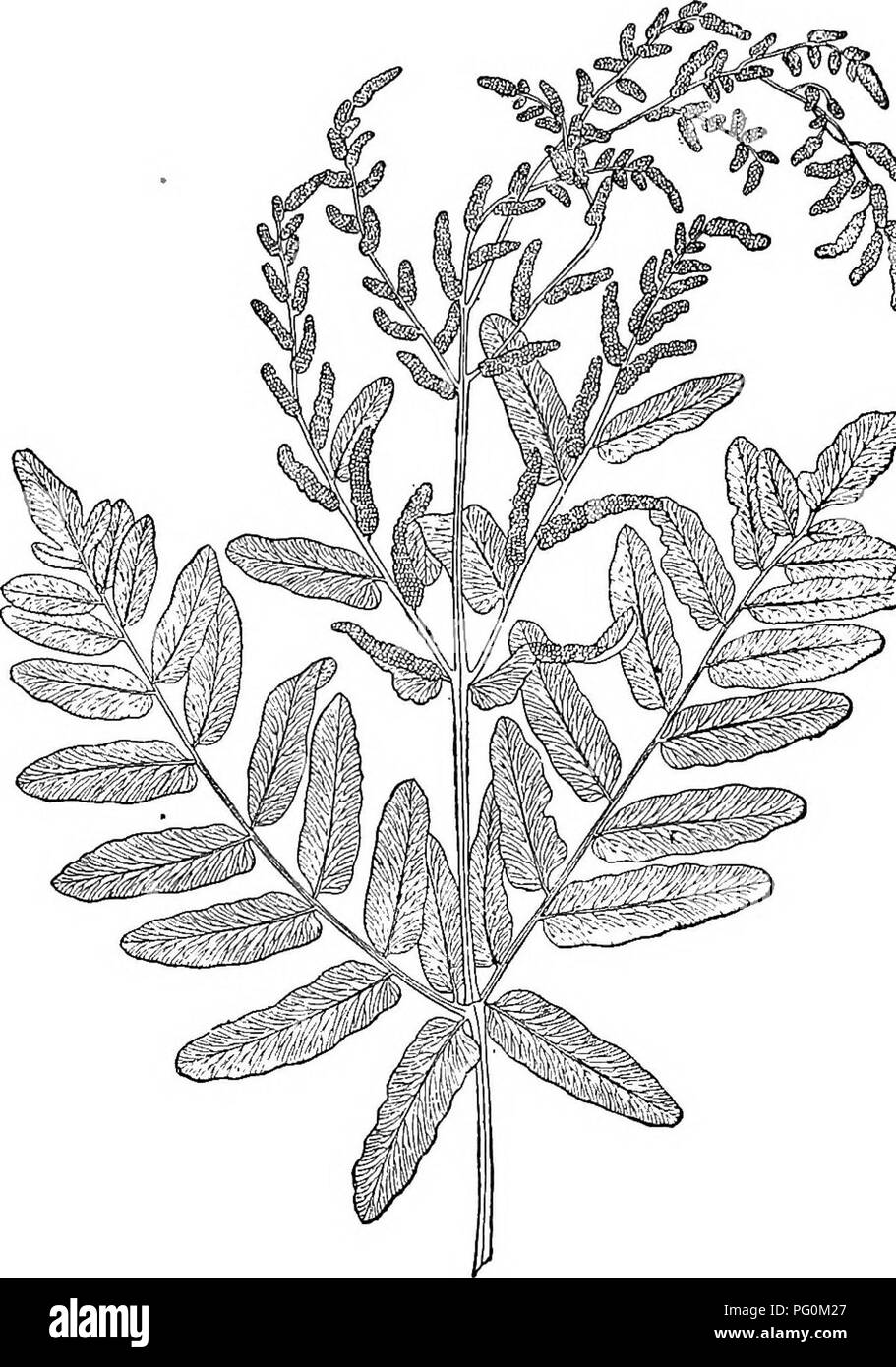 Low gelt bridge hi-res stock photography and images - Alamy