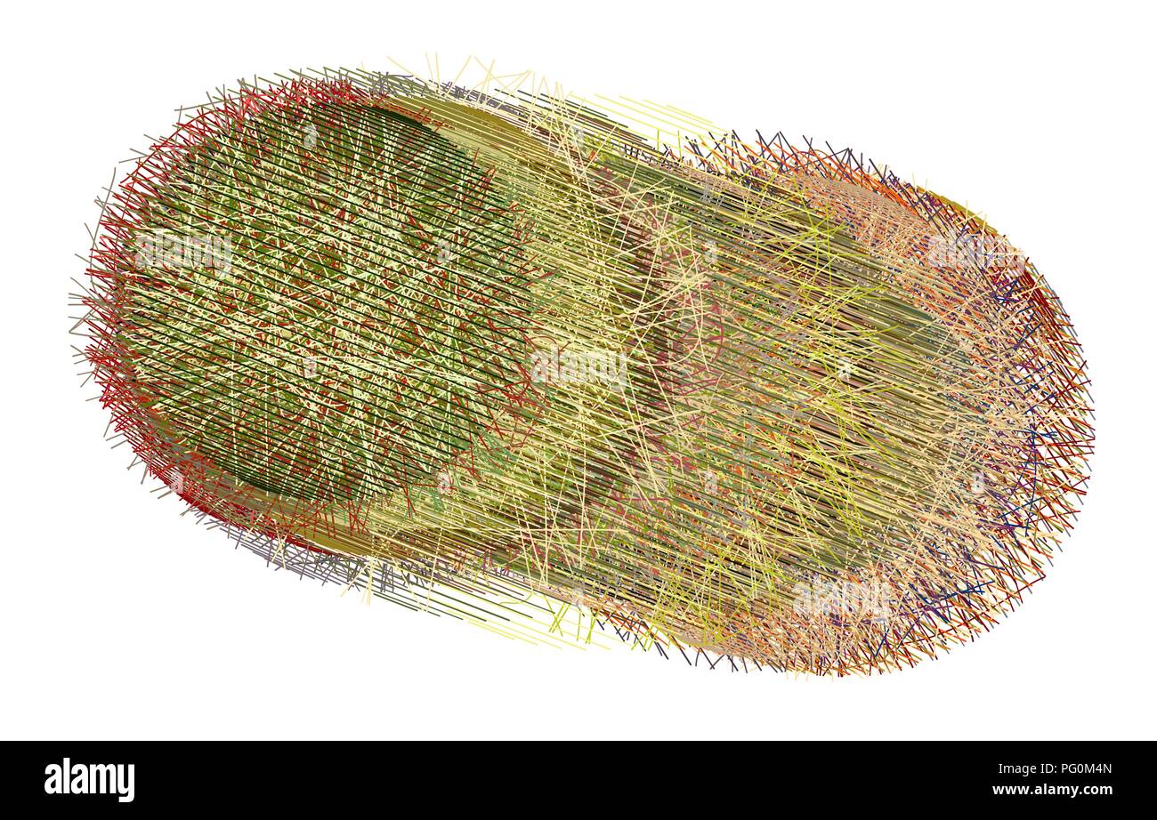 Abstract Messy Random Line Circles Geometric Pattern Colorful And Artistic For Graphic Design