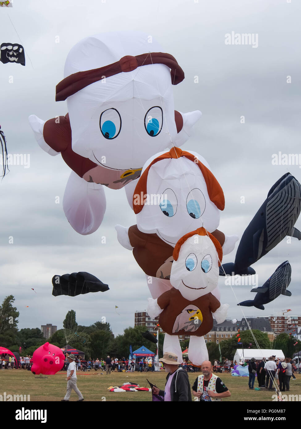 Flying bear hi-res stock photography and images - Alamy