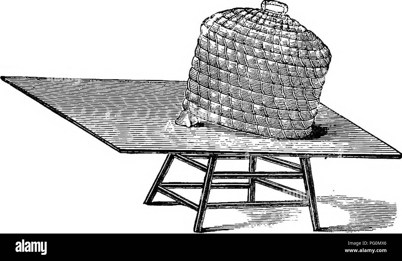 Frame artificial honeycomb foundation hi-res stock photography and ...