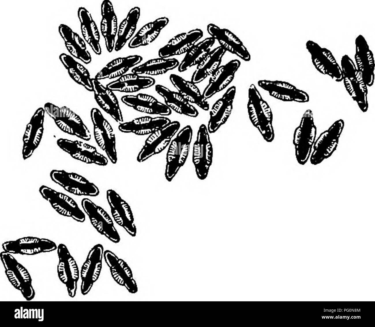 Slightly submerged Cut Out Stock Images & Pictures - Alamy