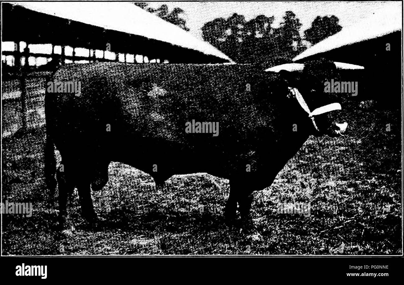 This work covers various breeds of farm animals, including cattle, and ...