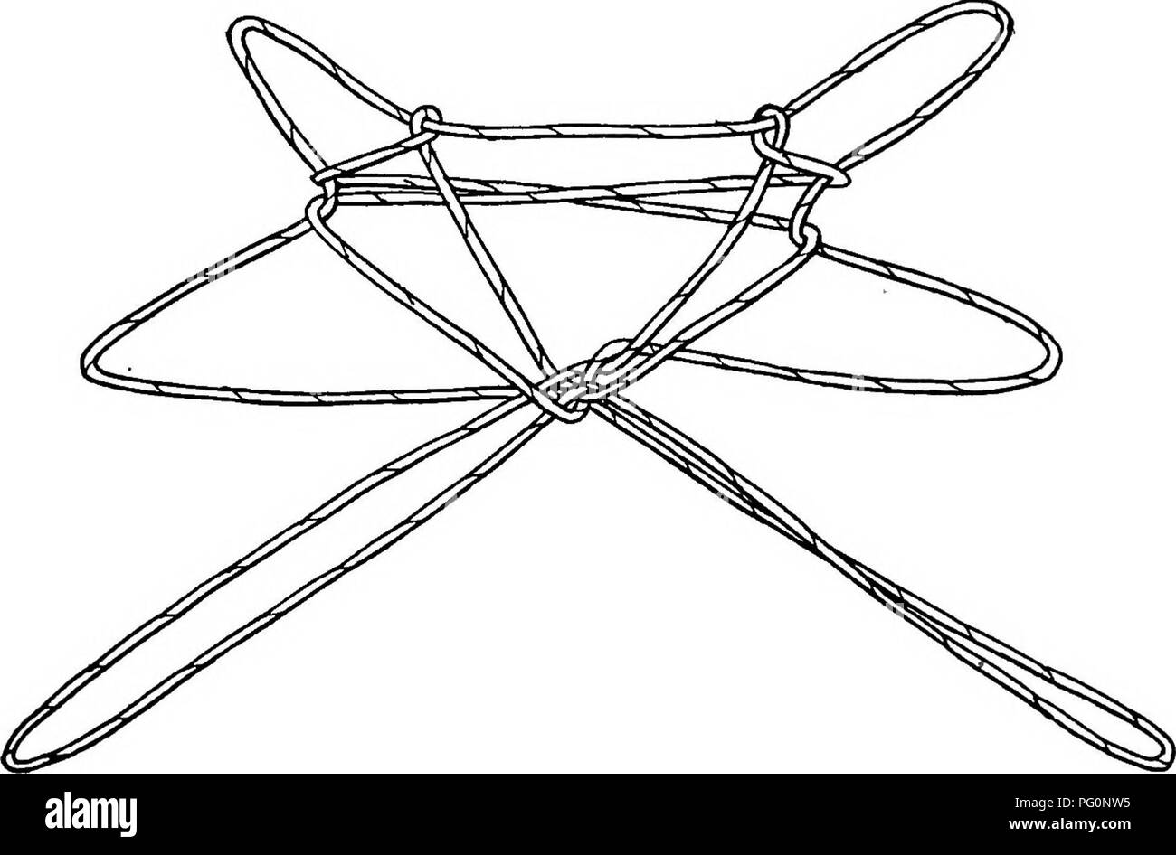 This report from the Canadian Arctic Expedition 1913-18 describes the ...