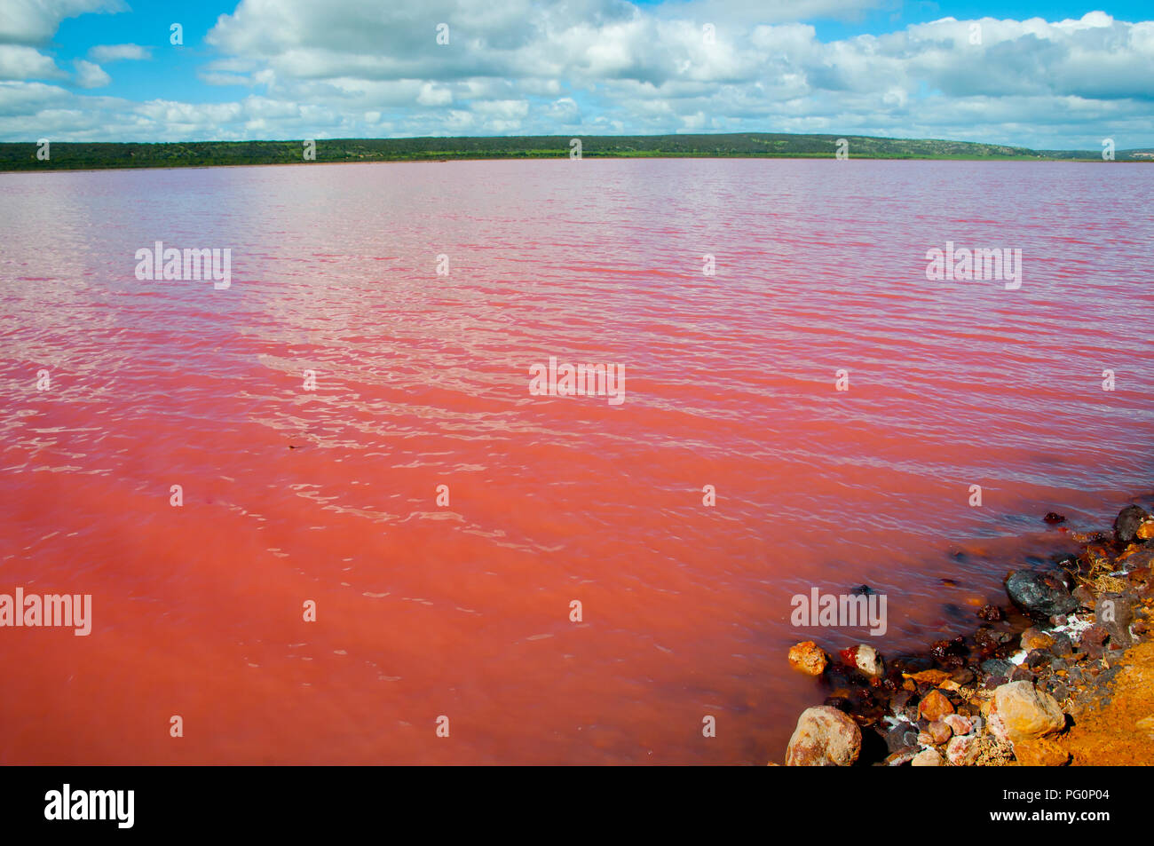 Hutt Lagoon Pink Lake - Western Australia Stock Photo - Alamy