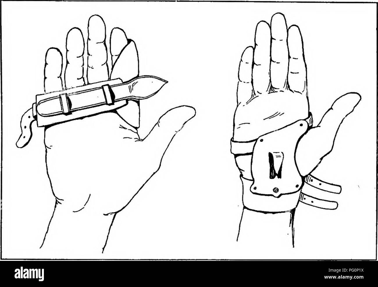 This work discusses the cultivation of corn, kafir corn, and sorghum in ...