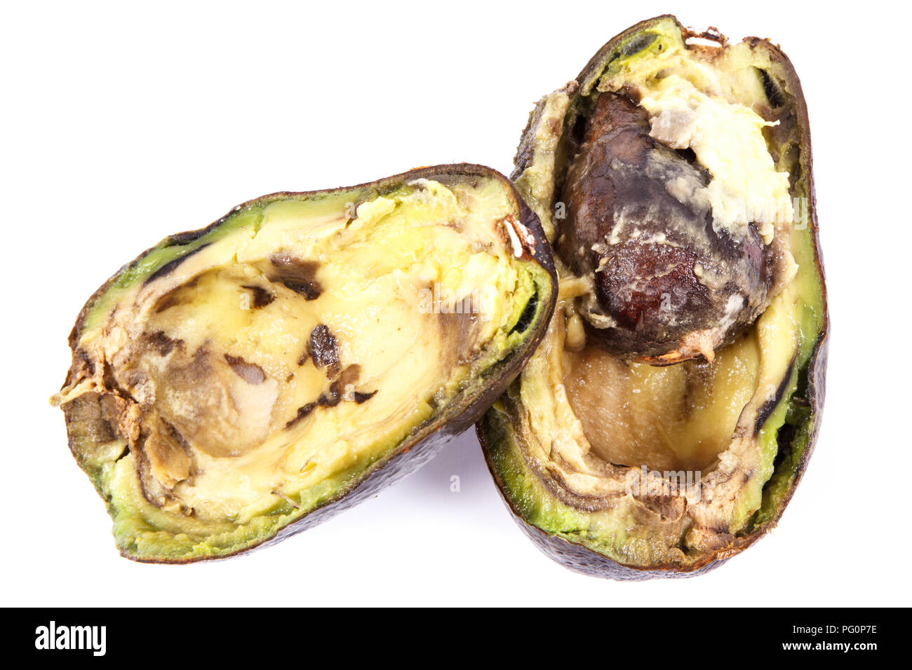 Garbage Of Moldy Food