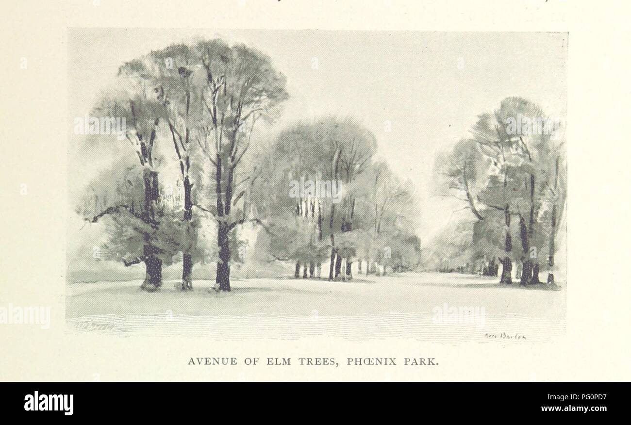 Image from page 289 of 'Picturesque Dublin, old and new ... With ninety ...