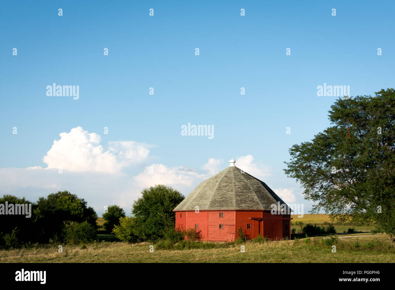 Unusual farming hi-res stock photography and images - Alamy