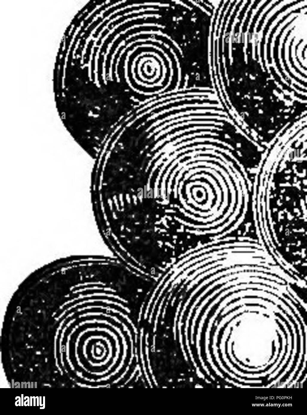 This comprehensive work on fruit cultivation covers techniques for ...