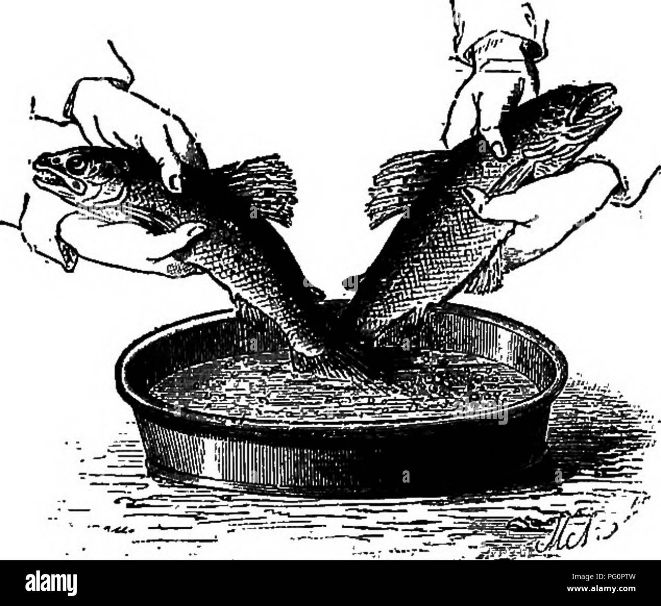 Various hatches hi-res stock photography and images - Alamy