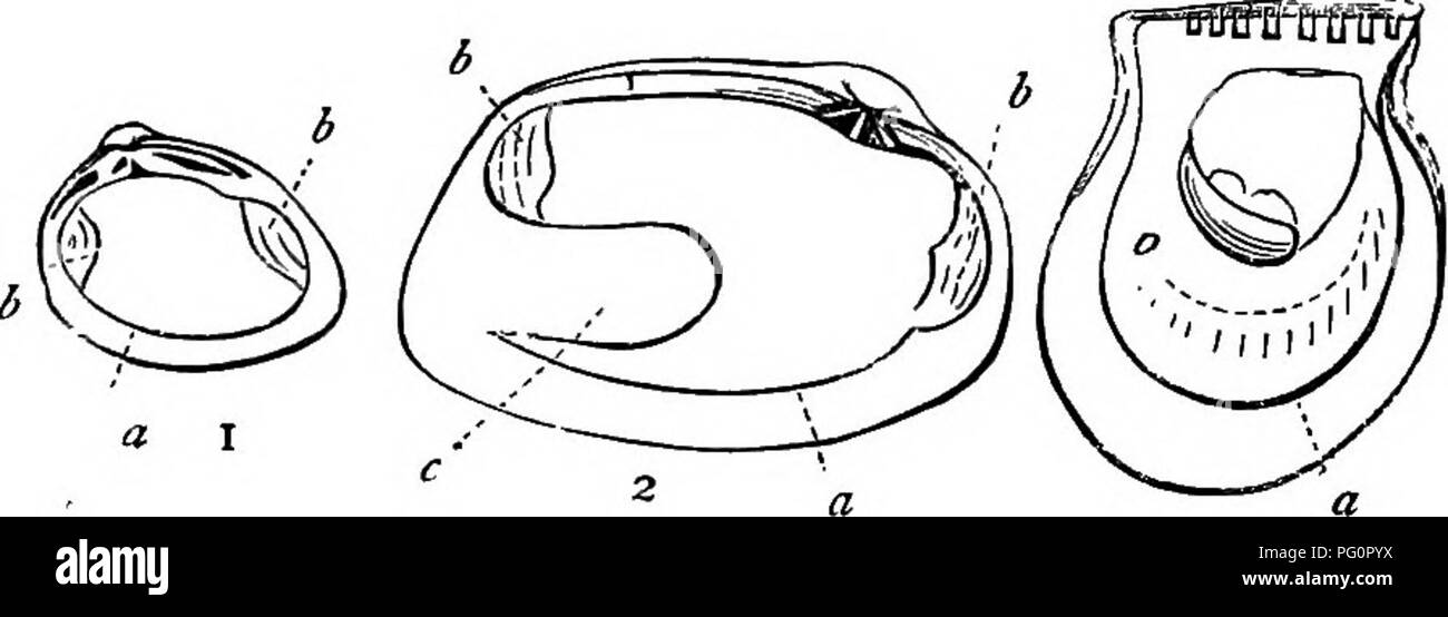 Foot dented Black and White Stock Photos & Images - Alamy