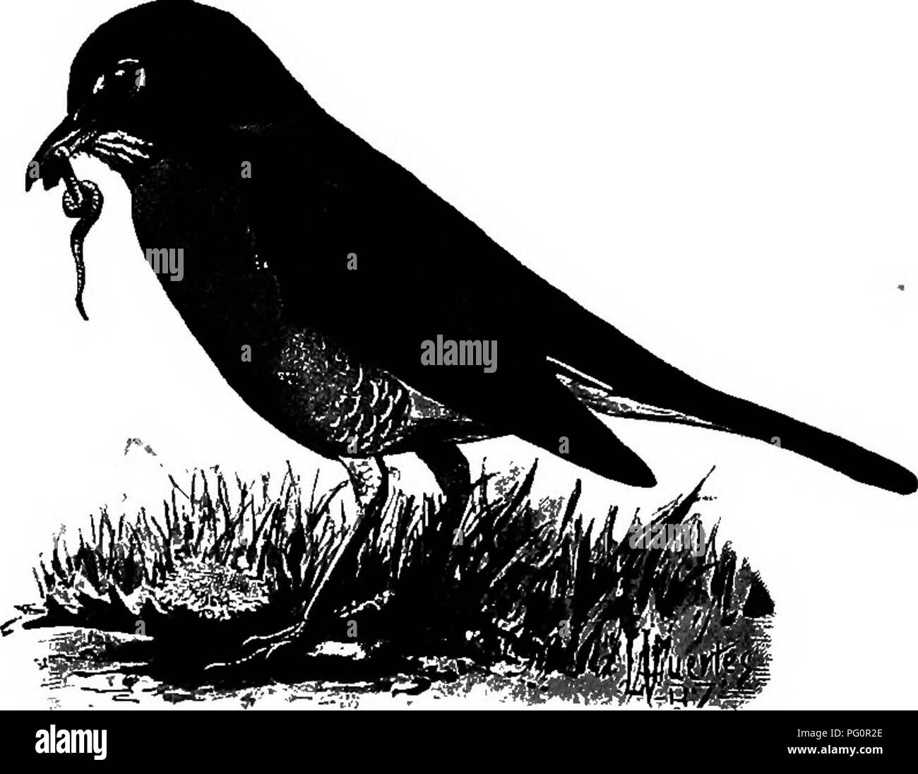 This educational resource covers the basics of animal and human biology ...