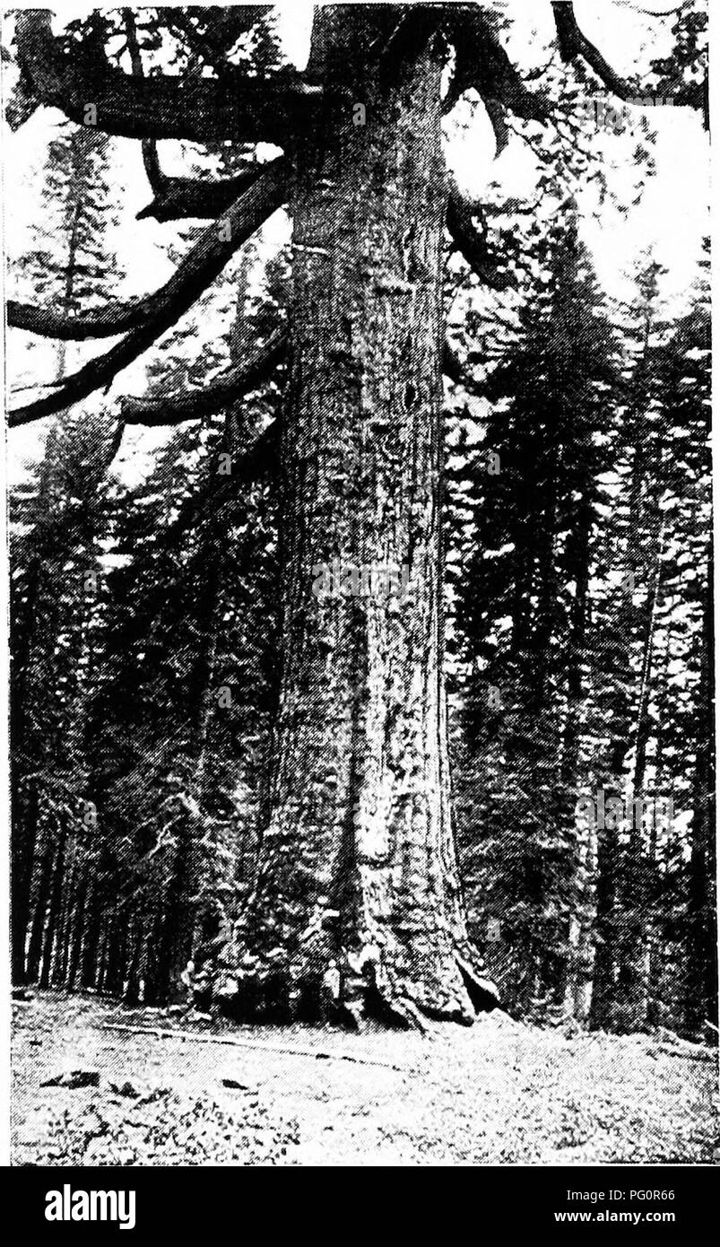 This image is from a botany textbook for agricultural students ...