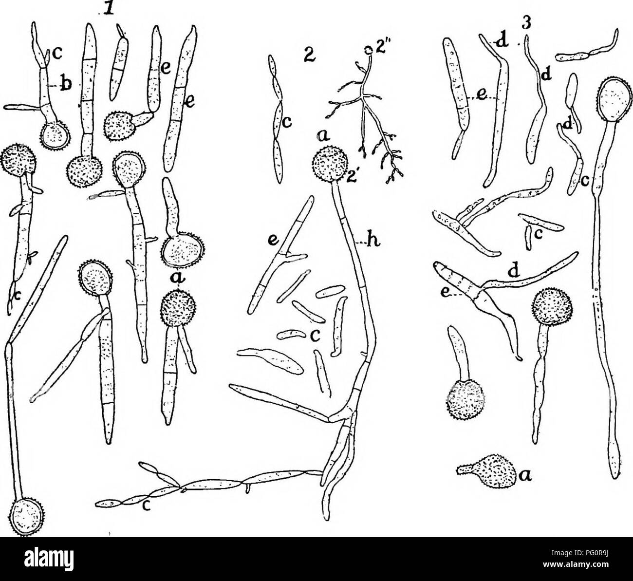 Smith island maryland hi-res stock photography and images - Alamy