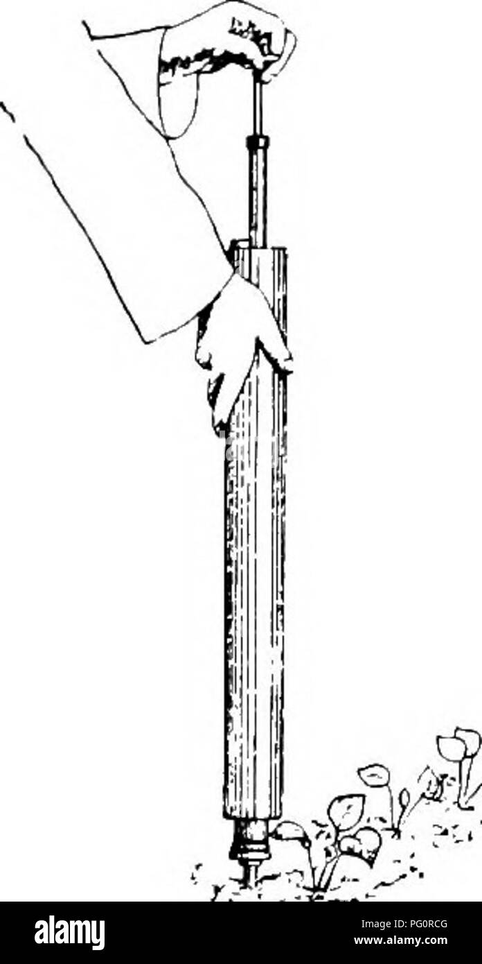 This book introduces plant culture, focusing on plant care and the ...