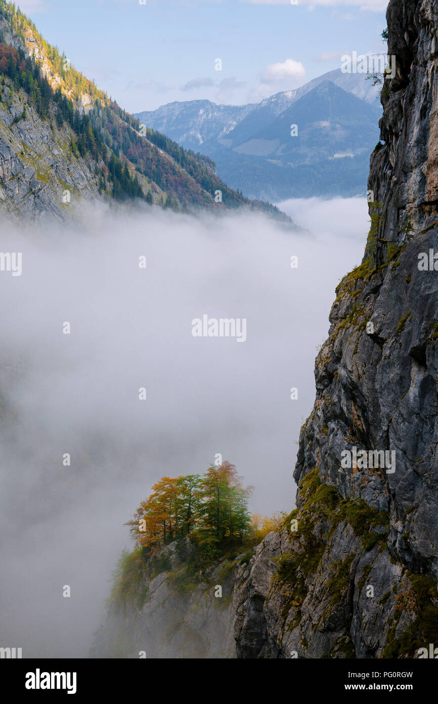 Mountain hill view on autumn trees with fog underneath Stock Photo - Alamy