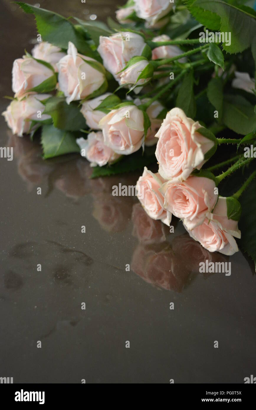 Elegant yellow pink small roses with green leaves, natural fresh chic ...