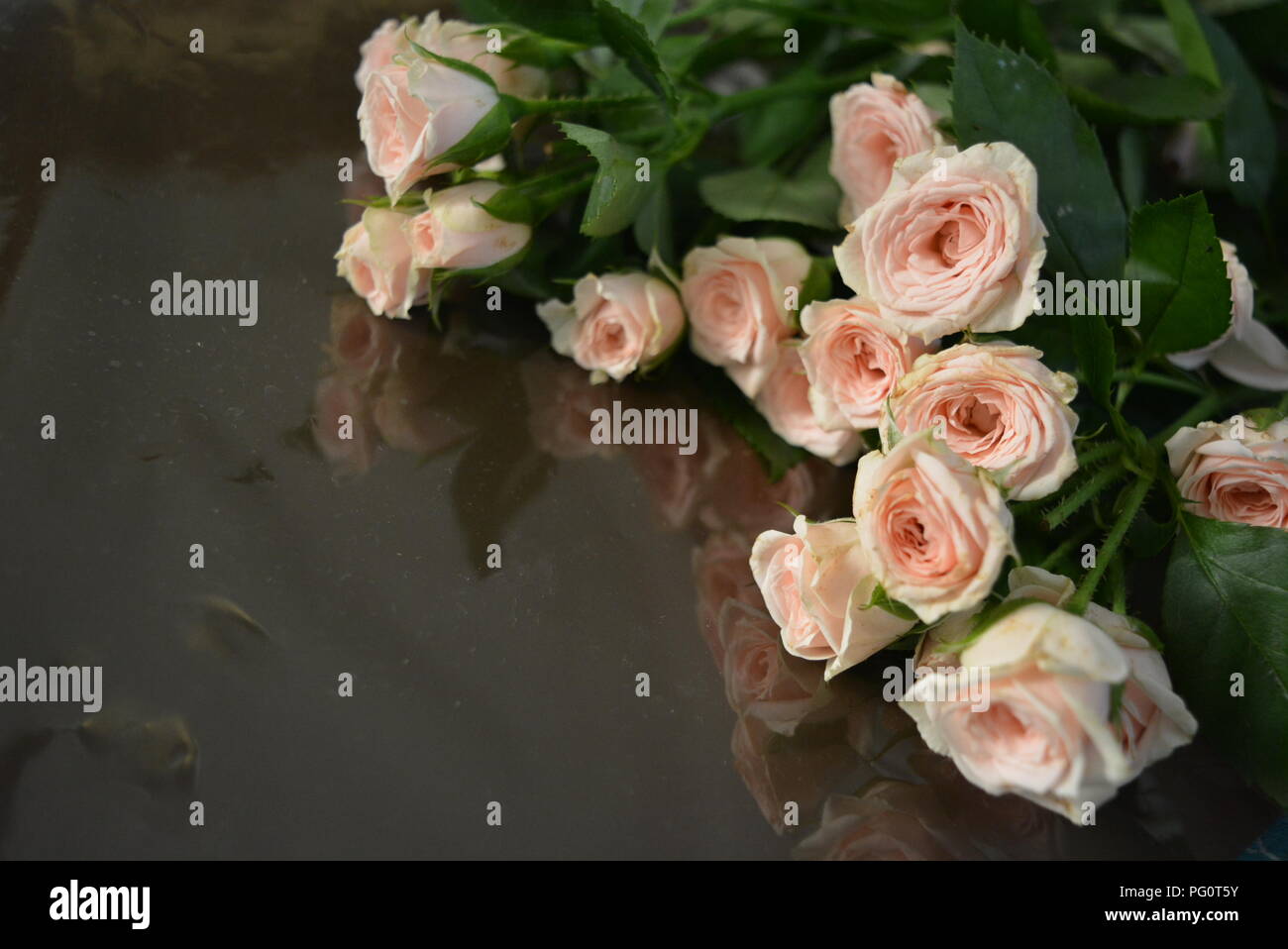 Elegant yellow pink small roses with green leaves, natural fresh chic ...