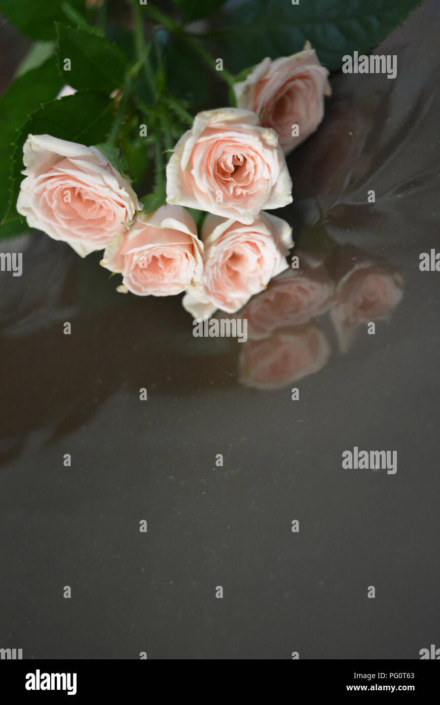 Elegant yellow pink small roses with green leaves, natural fresh chic ...