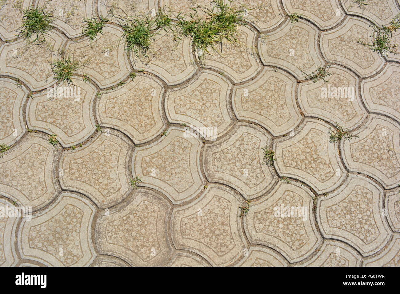 Road tiles in gray with shallow green grass Stock Photo - Alamy