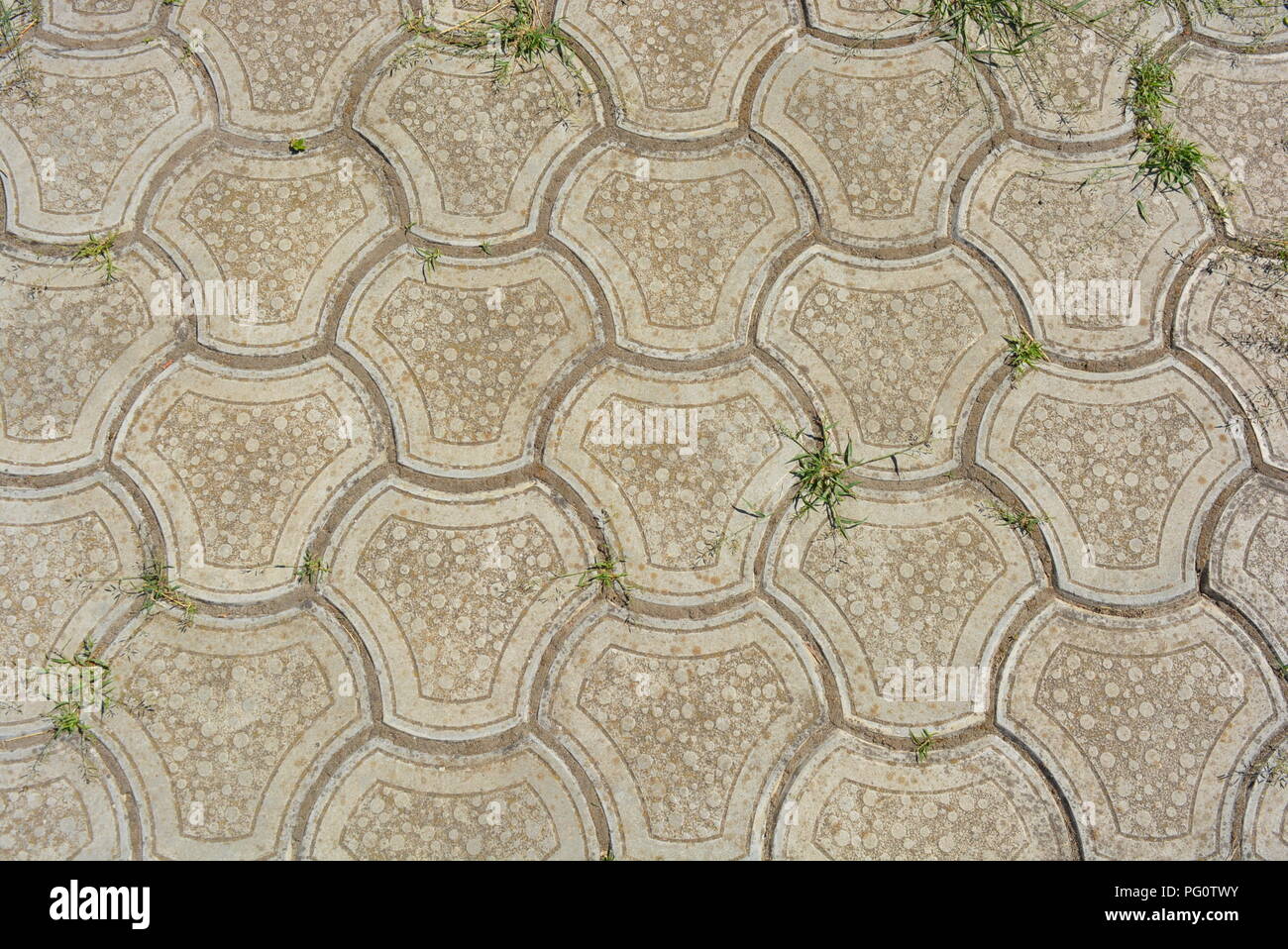 Road tiles in gray with shallow green grass Stock Photo - Alamy