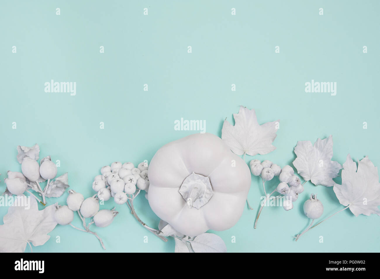 Frame mockup with pumpkin, berries and leaves on a green pastel autumn ...