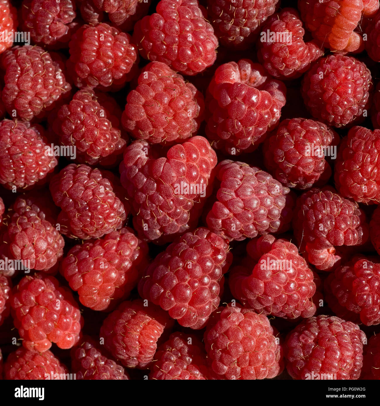 Fresh ripe perfect raspberry - Food Frame Background Stock Photo - Alamy