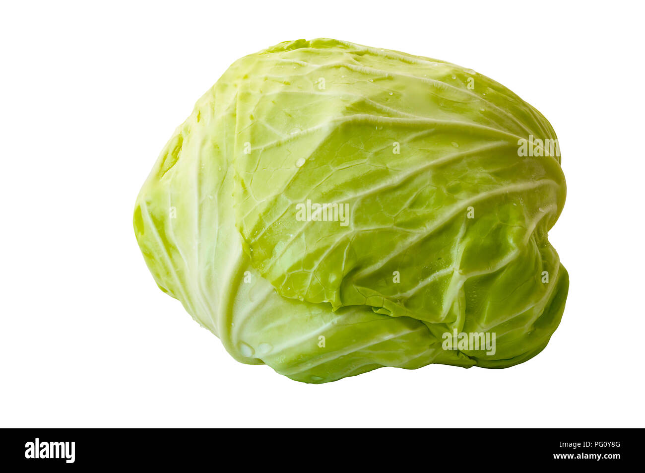 Green cabbage isolated on white background, clipping path included ...