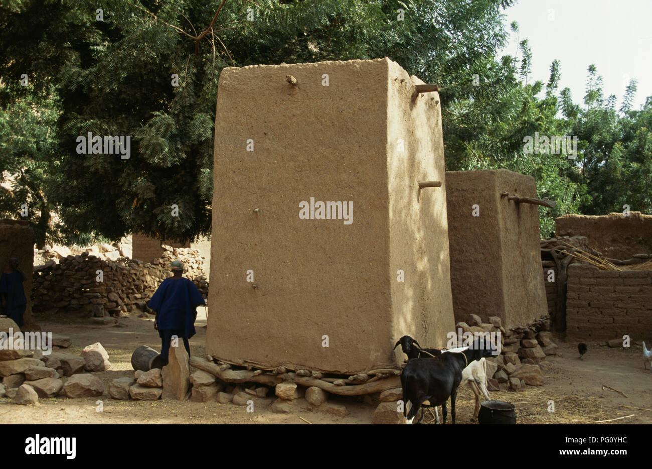 Goats in Kani Kombole village, Dogon country, Mali FOR EDITORIAL USE ...