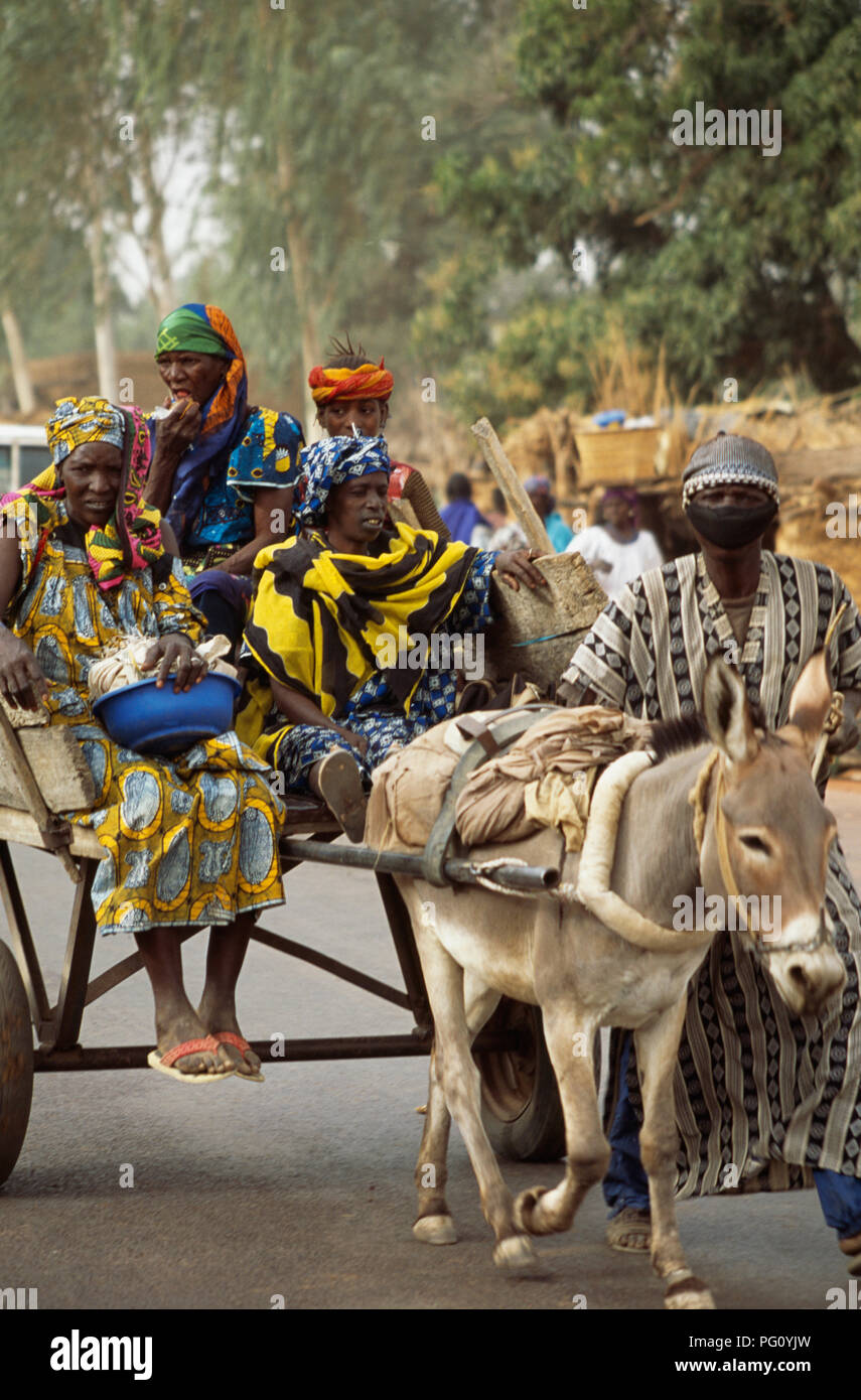Donkey transport home from the Sunday Market in Somadougou, near Mopti ...